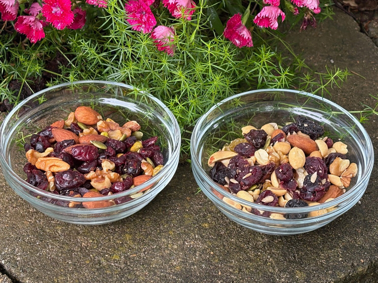 Healthy School Snacks for Kids - Countryside